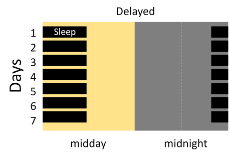 General information | SRBR: Society for Research on Biological Rhythms